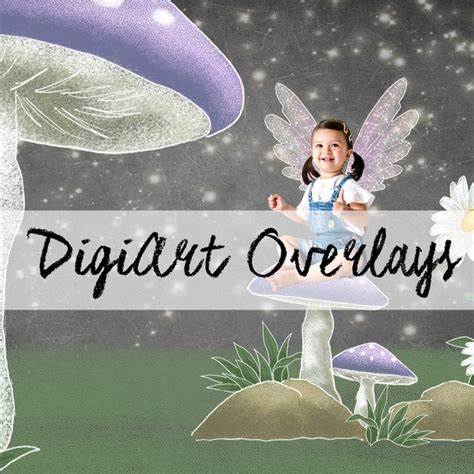 Pixie Dust Overlay Etsy