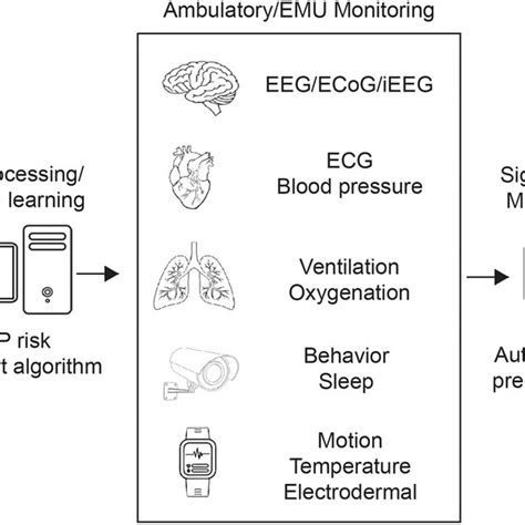 Schematic Workflow Of Automated Sudep Risk Assessment And Prediction
