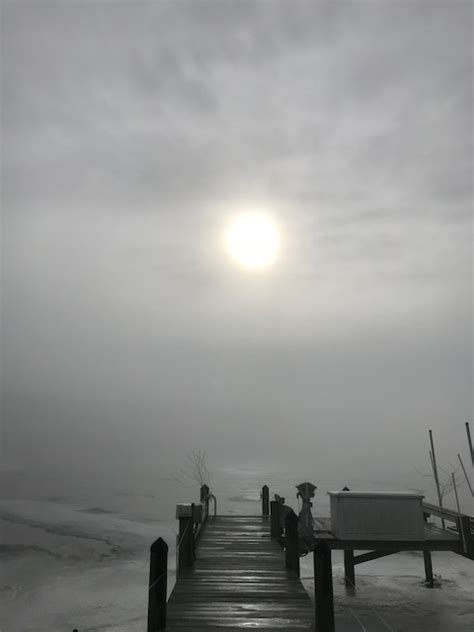 Advection Fog Carriestaples