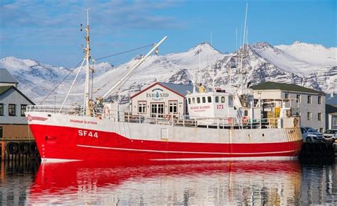 Sigurdur Olafsson Vesseljoin