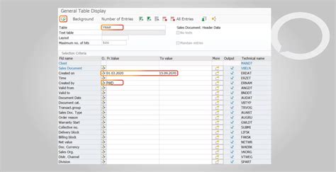 How To Use Sap Se16n Tables Hicron