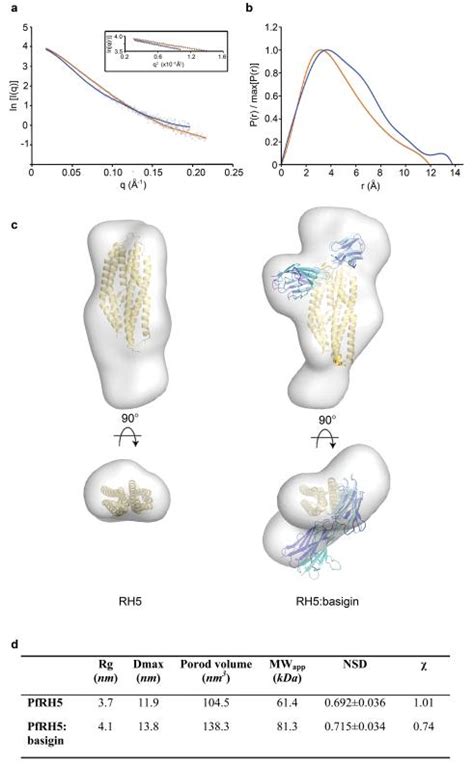 Structure Of Malaria Invasion Protein Rh5 With Erythrocyte Basigin And