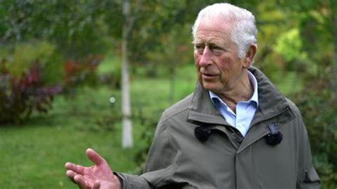 Six Things The UK Could Do To Tackle Climate Change BBC News