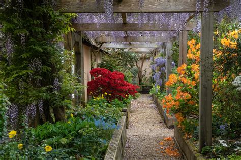 Wildside In Words Wiley At Wildside