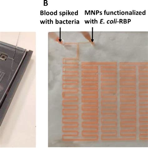 A Microfluidic Device Fixed In The Dedicated Support Holding A Download Scientific Diagram
