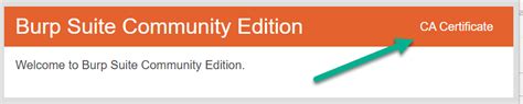 Install And Configure Burp Suite Community Edition Rce Serialization Dotnet