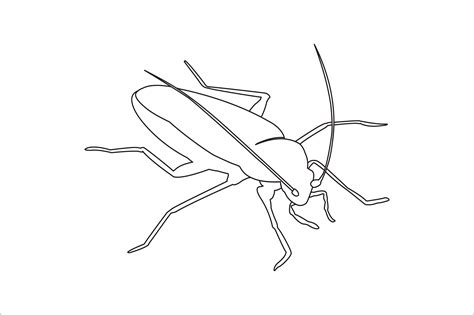 Animal Cockroach Icon Outline Graphic By Thegoodwaral · Creative Fabrica