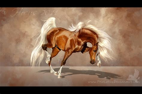 Alazan by HocusPlotus on DeviantArt