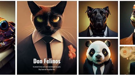 masonry gallery carousel slider revolution template