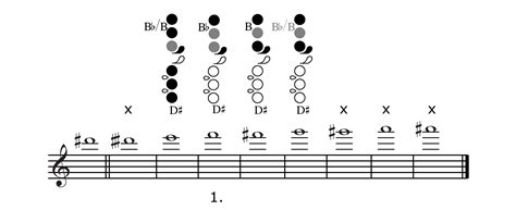 The Kingma System Alto Flute A Practical Guide For Composers And