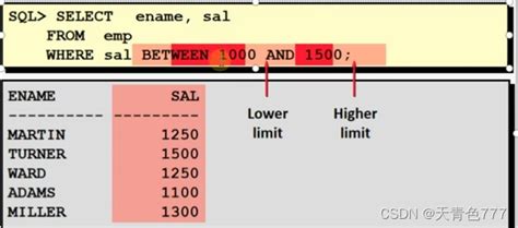 数据库基本操作大全 数据库的基本操作 csdn博客