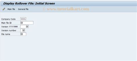 FNP SAP Tcode Rollover Display File