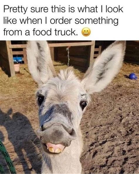 Funny Pics And Memes 34 Klykercom