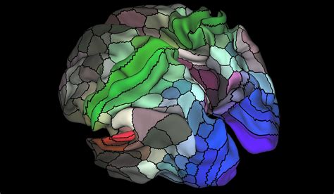 Neuroscience Brain Map