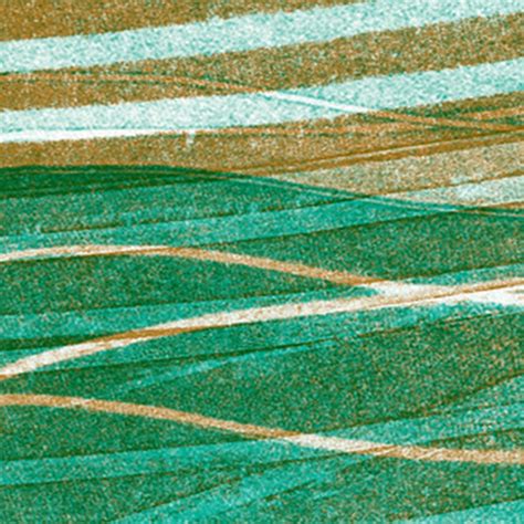 Nicoline Soeter Youtube