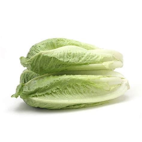 חסה לבבות קיסר מארז