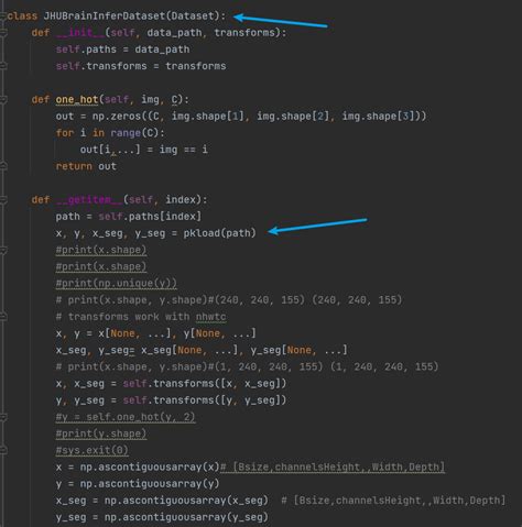 The Process Of Making And Loading Datasets Issue Junyuchen Vit V Net For D Image