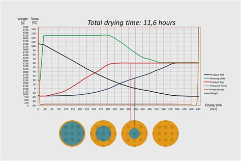 Overcoming Common Freeze Drying Challenges