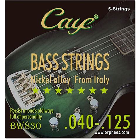 Caye 456pcs Strings Electric Bass Strings Set Hexagonal Steel Core