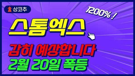 스톰엑스 욕먹더라도 감히 예상합니다 오는 2월 20일 폭등 옵니다 스톰엑스코인스톰엑스코인전망스톰엑스코인매수가스톰