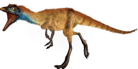 Compsognathus Dinopedia The Free Dinosaur Encyclopedia