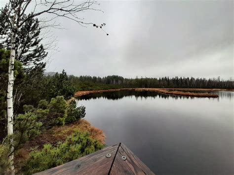 Chalupská Slať Borova Lada Lohnt Es Sich Aktuell Für 2026 Mit Fotos