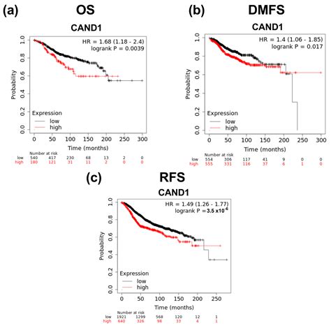 Bioinformatics Analysis Of The Prognostic Significance Of Cand1 In Erα