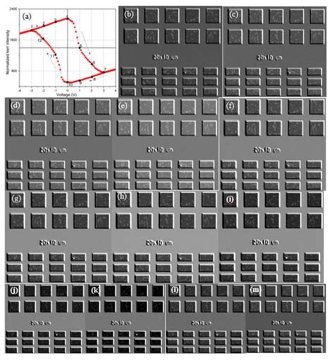 Calibration Sample For Magnetic Contrast Imaging In Sem Ipe Surfaces