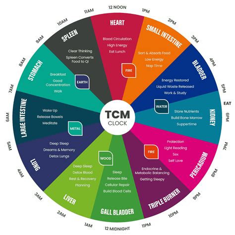The Tcm Body Clock Unlocking Better Sleep Through Ancient Wisdom