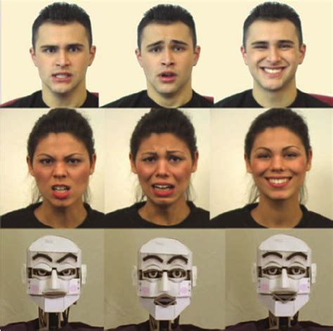 Example Of The Stimuli Used During The Fmri Experiment Here As Still Download Scientific