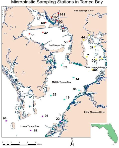 Figure 1 1 From Spatial And Temporal Levels Of Microplastics In Tampa