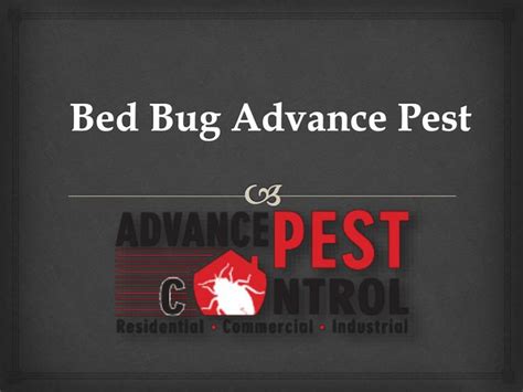 Pin On Bed Bug Vancouve