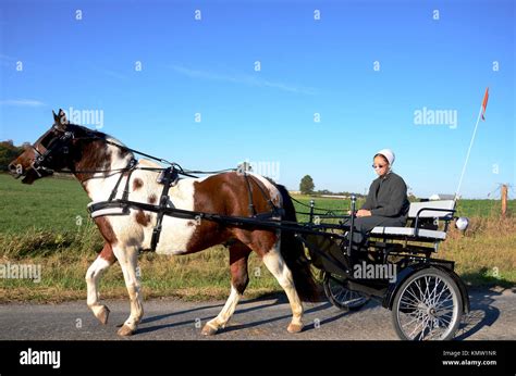 Amish Women Wearing White Bonnet And Sunglasses Driving An Open Trap On Road In Holmes County