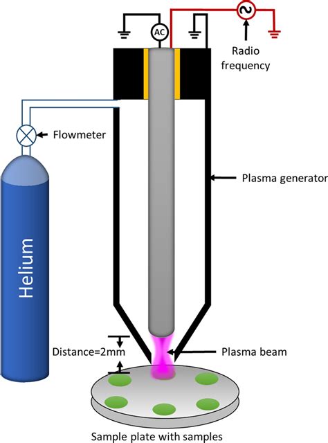 Scheme Of Artp Mutagenesis For Microbial Mutation Download Scientific