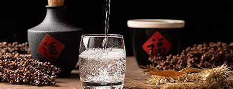 Lactic Acid Membrane Filtration Separation Process In White Wine Yellow