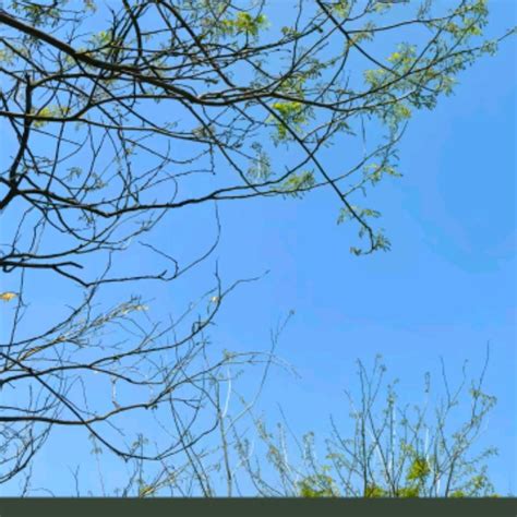 歌手魏晨在《沉默的荣耀》中的演技表现，令人惊艳观众角色剧中