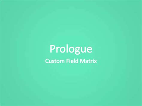 ACF The Advanced Custom Fields Strory PPT