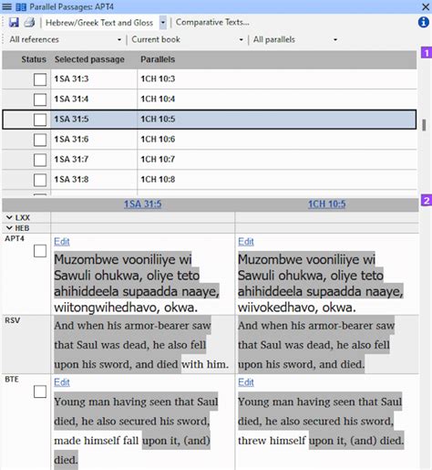 Empowering Translators Achieving Accuracy With The Parallel Passage Tool In Paratext 9 3📑