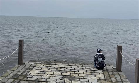 羅文嘉》羅小弟的情傷 蕃新聞