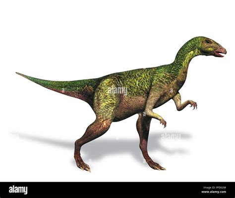Dryosaurus Cut Out Stock Images And Pictures Alamy