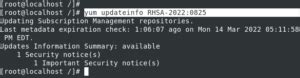 How To Check And Install Security Updates On RHEL ByteXD