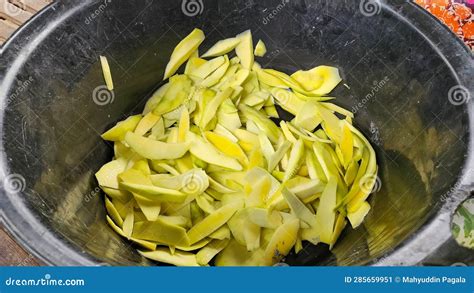 Acetobacter Aceti Vinegar Mango Saccharomyces Cerevisiae Process Of