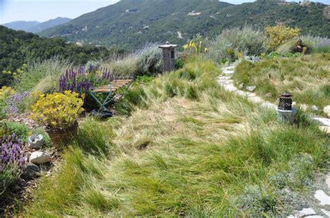 Ornamental Grass Garden Layout Knowvery