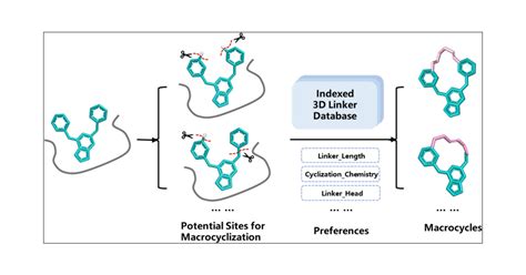 Macgen A Web Server For Structure Based Macrocycle Design Journal Of