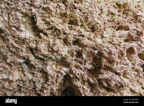 Sedimentary Rock On The Beach Texture Background Full Frame Of
