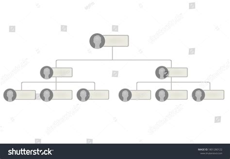 Blank Hierarchy Company Structure Vector Illustration Stock Vector Royalty Free