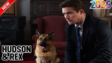 Hudson Et Rex Découvrez Les Secrets Derrière Cette Série Captivante