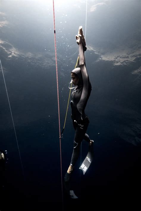 Ethical Freediving Wildlife Expeditions Marine Wildlife Encounters