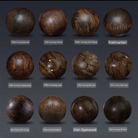 Pianoforest7 여운이 오래 남다 정원은 하루 아침에 만들어지지 않아요 이 정원을 만드는 데 삼십년이 걸렸어요 많은 명대사가 있지만 자연의 관점에서 정원을