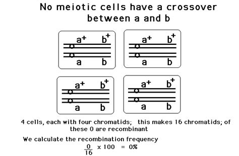 Recombination Frequency Calculation